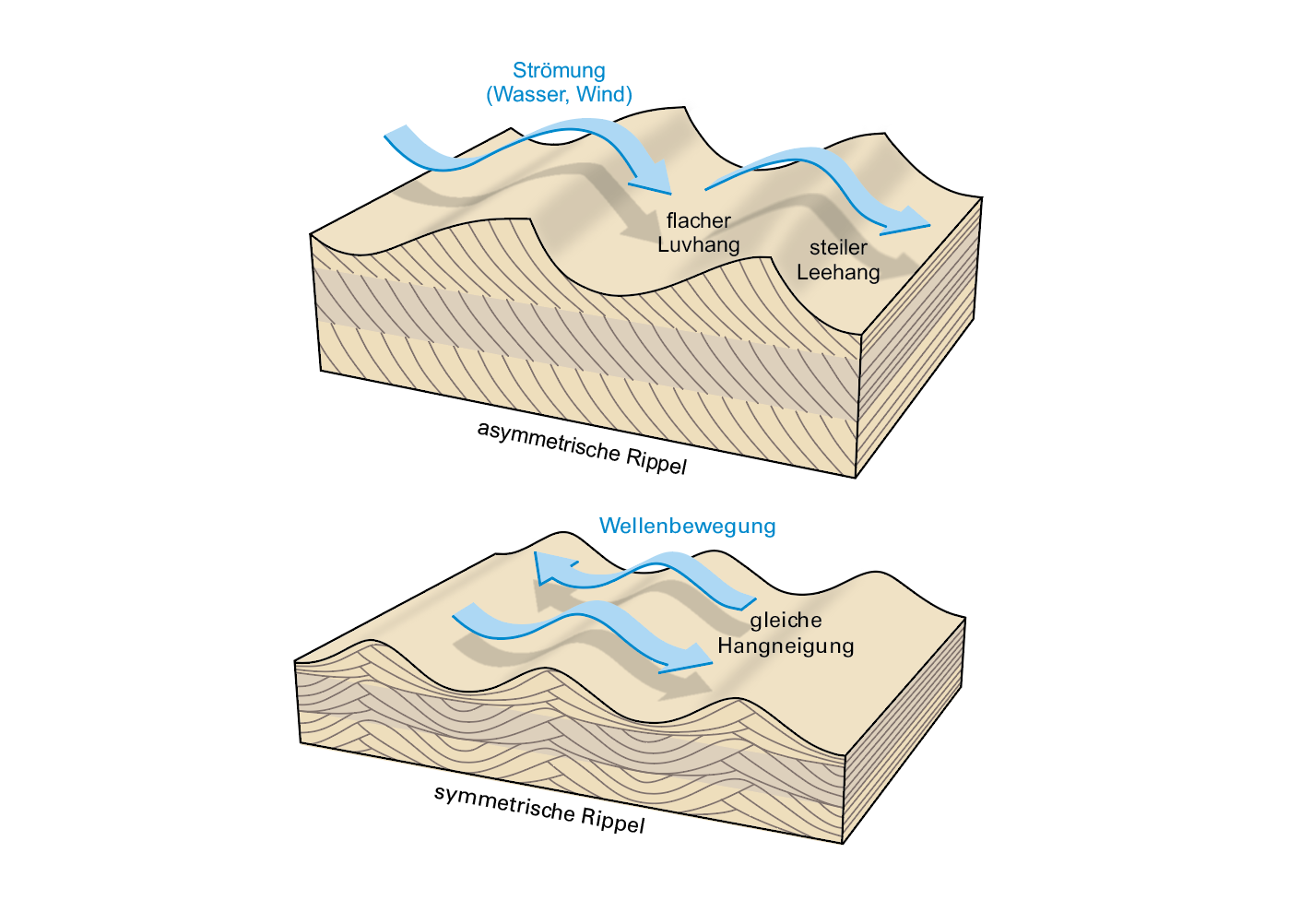 Neustädter Rippel – Nationaler GEOPARK Westerwald-Lahn-Taunus